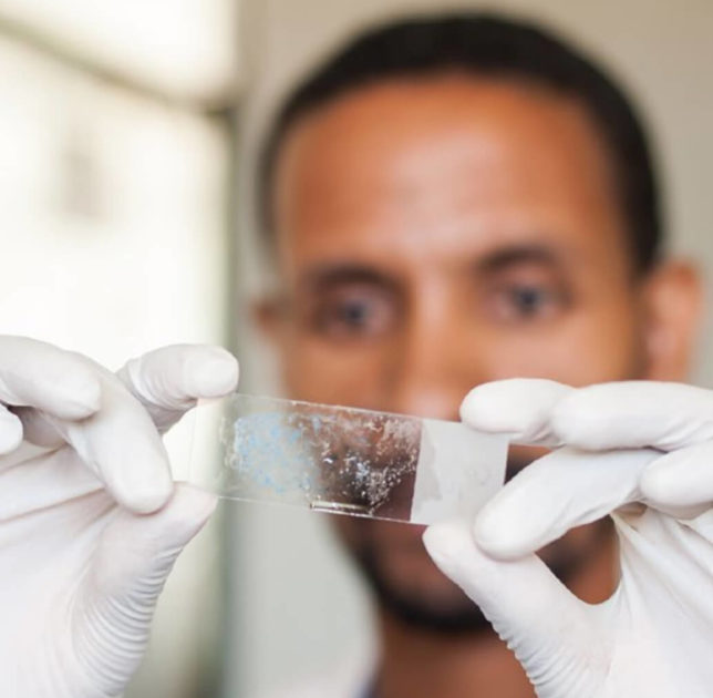 Introduction of Second Line Probe Assay in Laboratory System in ...